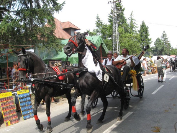 FESTIVAL HRANE, TRADICIJE I PRIRODE – “BODROG FEST” 2018 - Radio Dunav